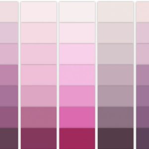 Color Consultations & Color Trends | Miller Paint