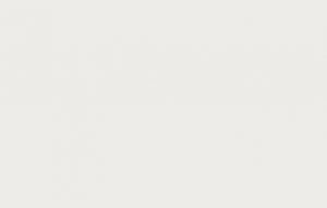 How to Choose the Right White