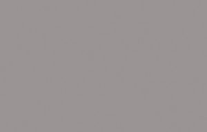 Color Story No. 1 | Winter Grays & Beiges