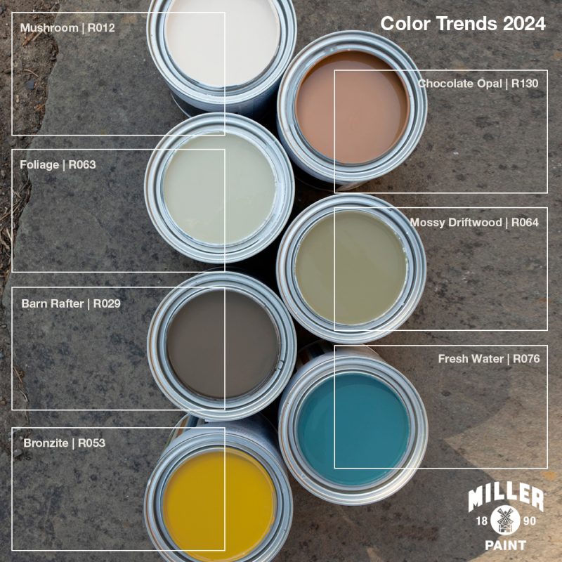 Color Trends 2024