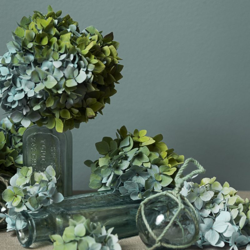 2025 Color of the Year: Dried Hydrangea | R074