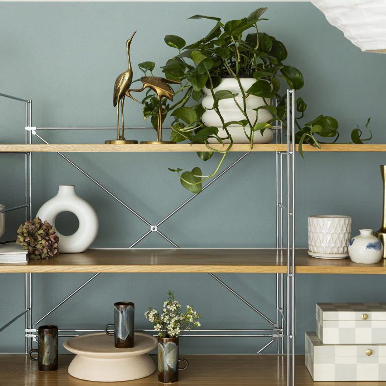 Color Trends for 2025